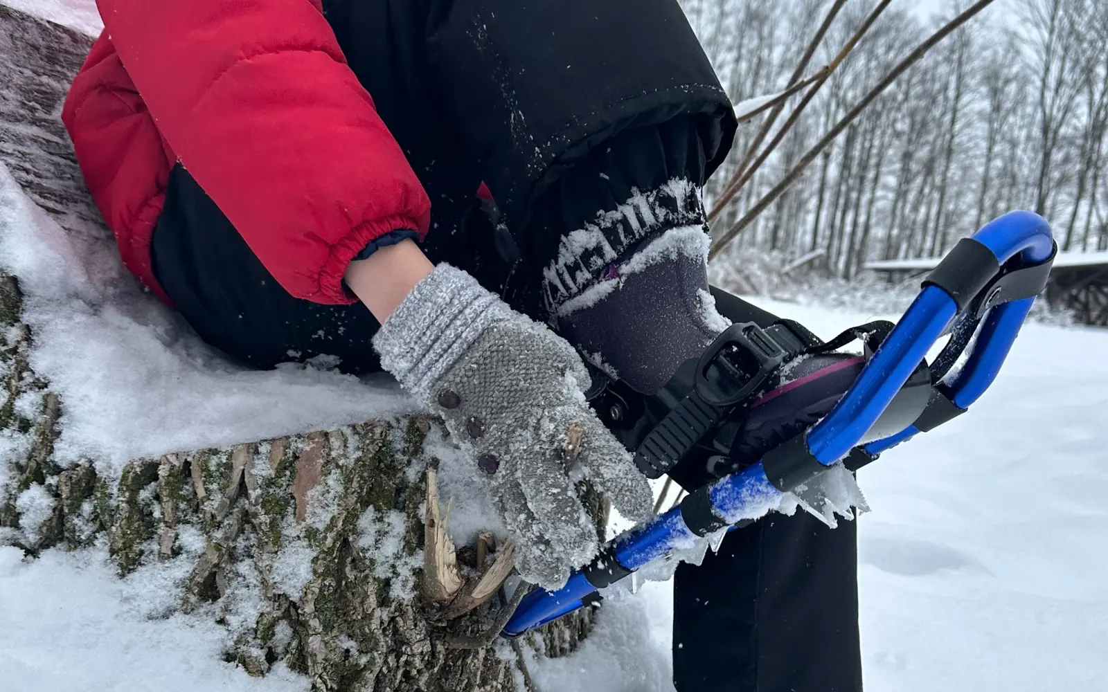 Must Visit Attractions in Peterborough, Ontario